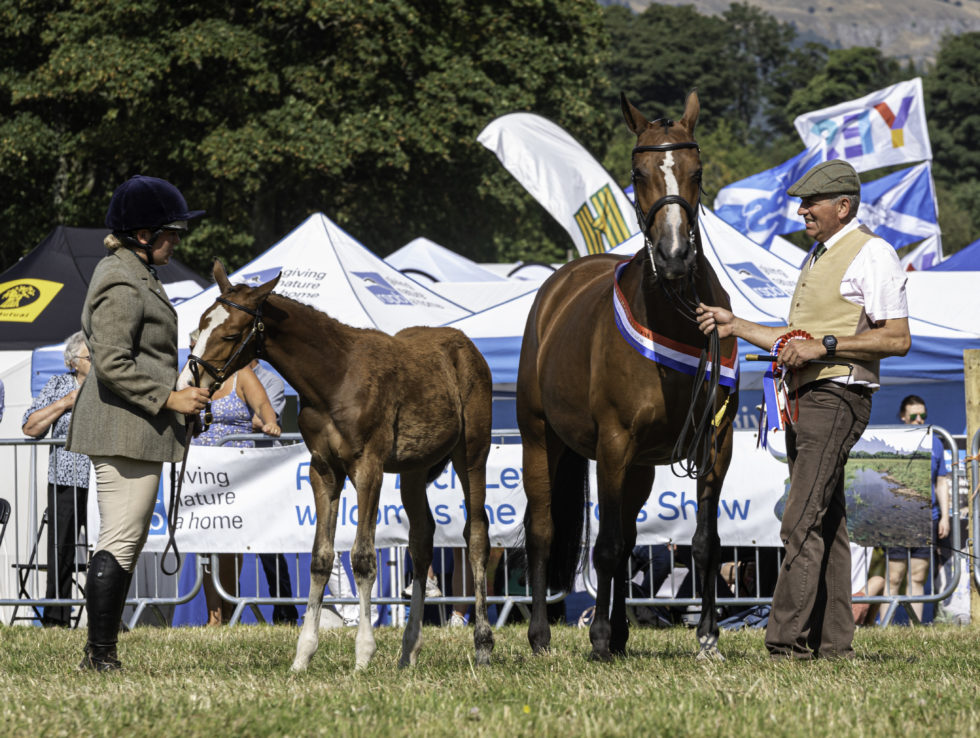 Kinross Show – Saturday 10th August | Kinross Show